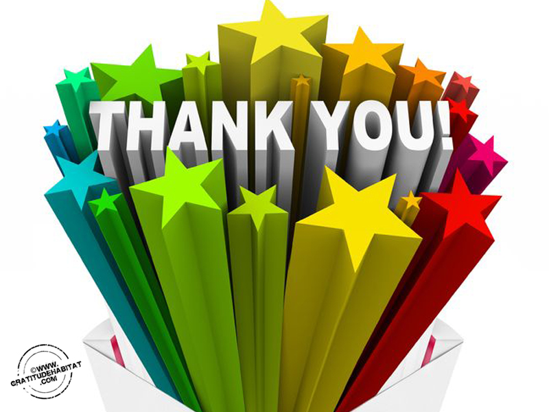 Gratitude Habitat | 6 Tips To Composing Heartfelt Thank You Notes Gratitude Habitat | 6 Tips To Composing Heartfelt Thank You Notes